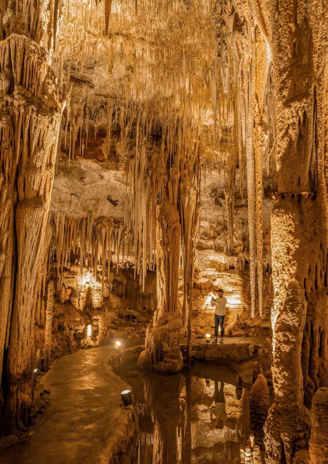 Tantanoola Cave and Conservation Park – Mount Gambier
